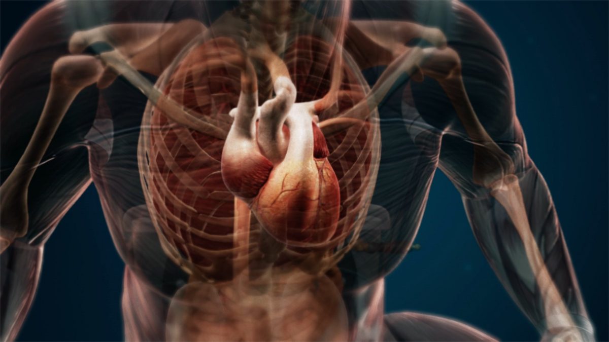 Autopsy: The Last Hours of… – Undabo Studios