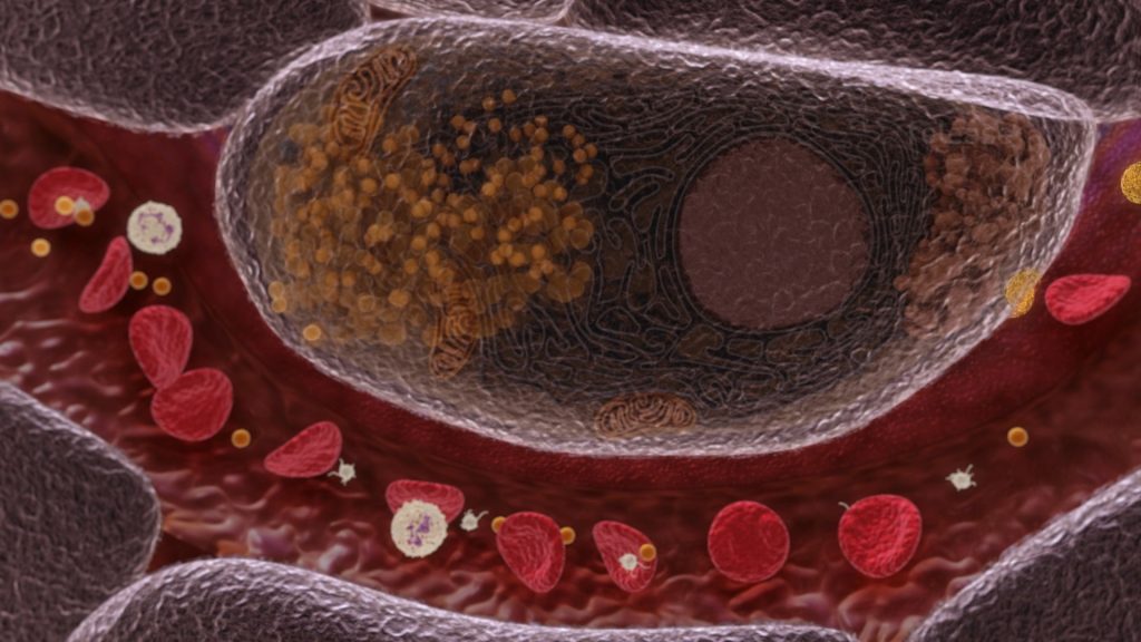 Epanova MOA AstraZeneca – Undabo Studios